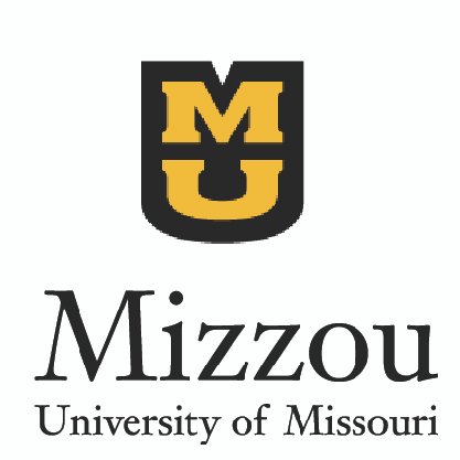 Kadamba Group Of Organisation